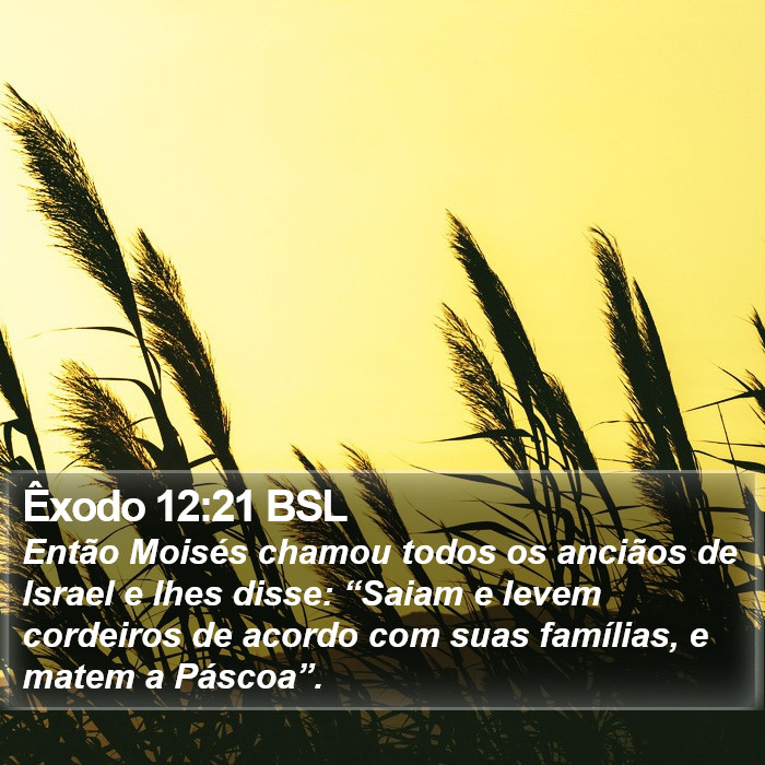 Êxodo 12:21 BSL - Então Moisés chamou todos os anciãos de Israel