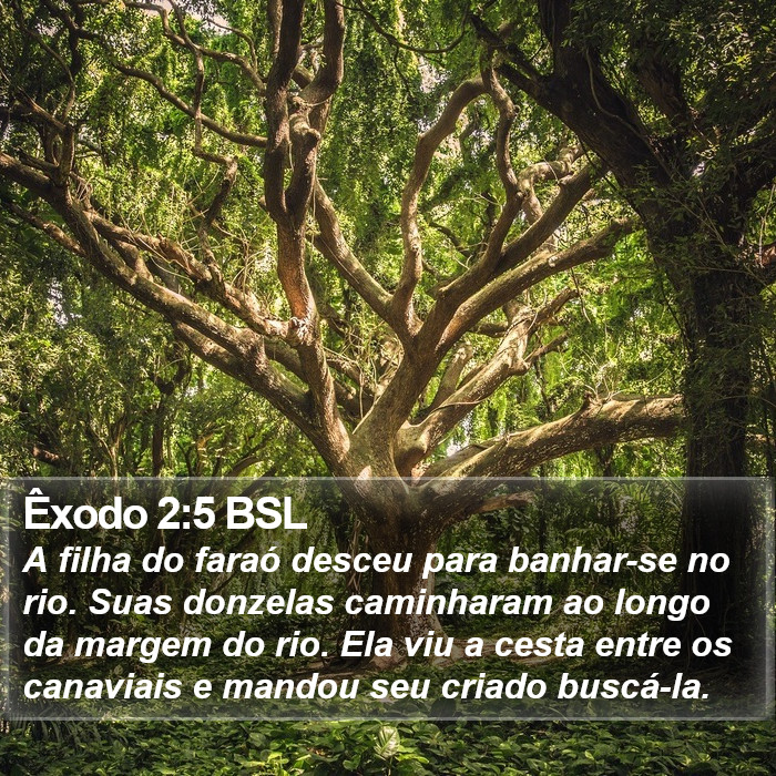 Êxodo 2:5 BSL - A filha do faraó desceu para banhar-se no rio.