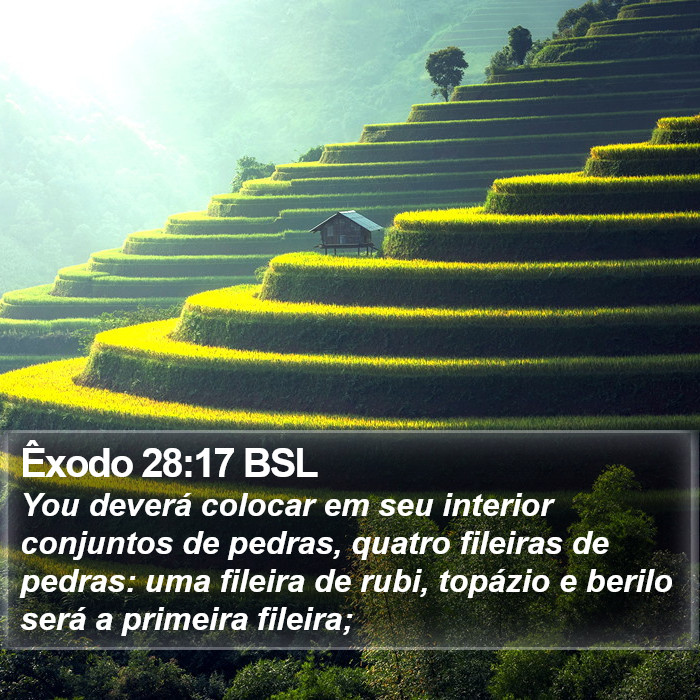 Êxodo 28:17 BSL - You deverá colocar em seu interior conjuntos de