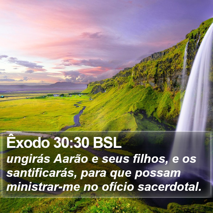 Êxodo 30:30 BSL - ungirás Aarão e seus filhos, e os