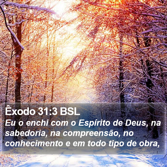 Êxodo 31:3 BSL - Eu o enchi com o Espírito de Deus, na sabedoria,