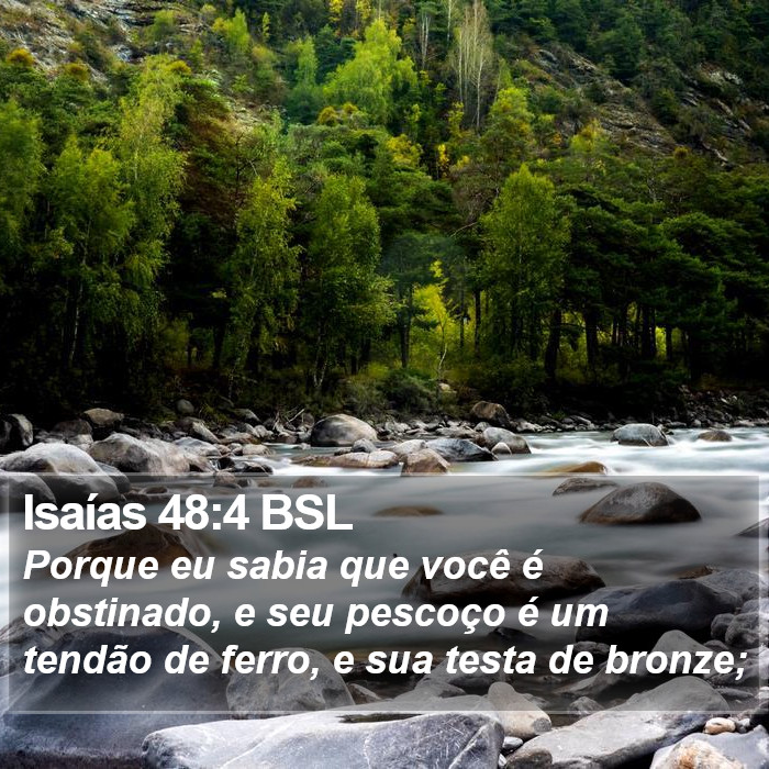 Isaías 48:4 BSL - Porque eu sabia que você é obstinado, e seu