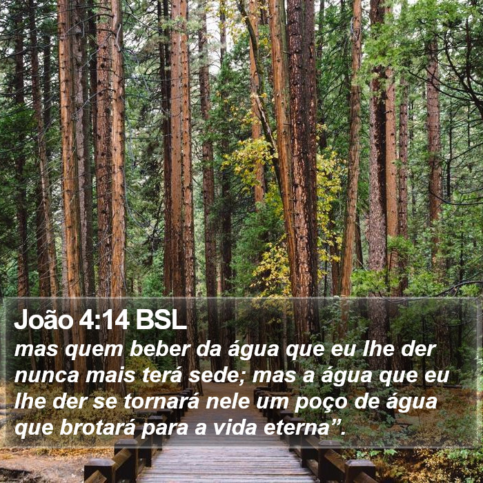 João 4:14 BSL - mas quem beber da água que eu lhe der nunca mais