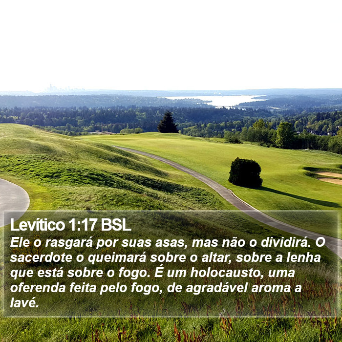 Levítico 1 Bible Images - Levítico Chapter 1 BSL Bible Verse Pictures
