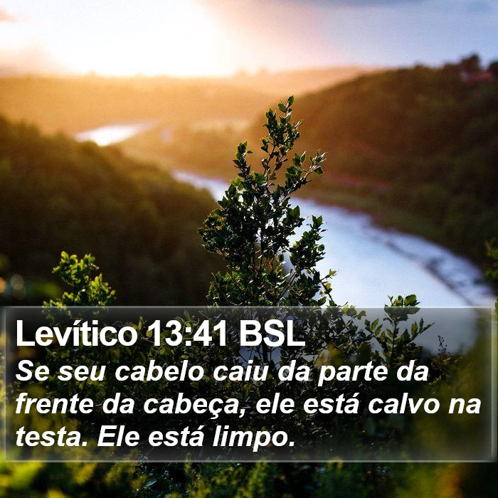 Levítico 13:41 BSL - Se seu cabelo caiu da parte da frente da cabeça,