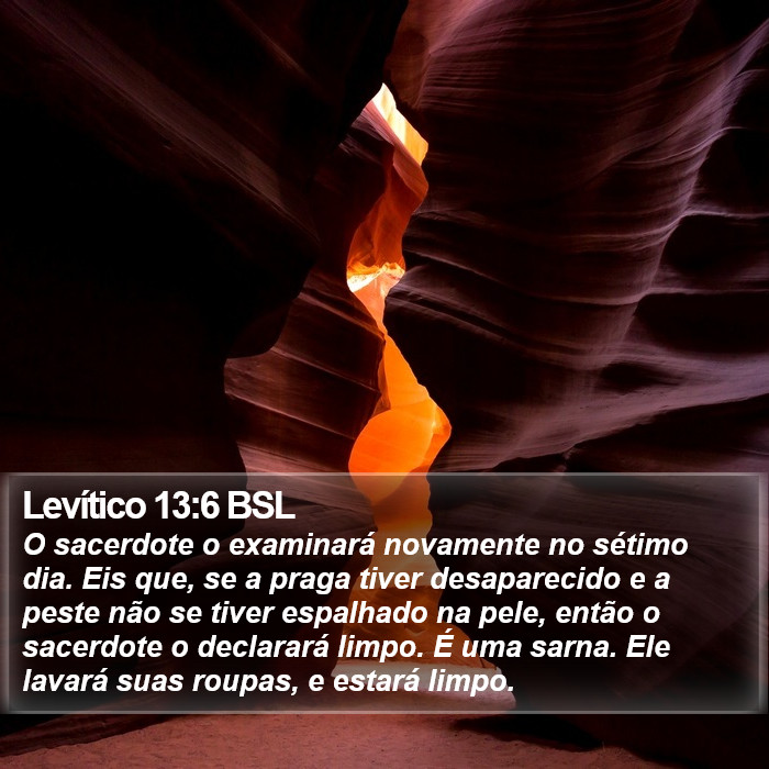 Levítico 13:6 BSL - O sacerdote o examinará novamente no sétimo