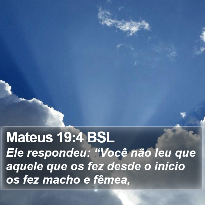 Mateus 19:4 BSL - Ele respondeu: “Você não leu que aquele que