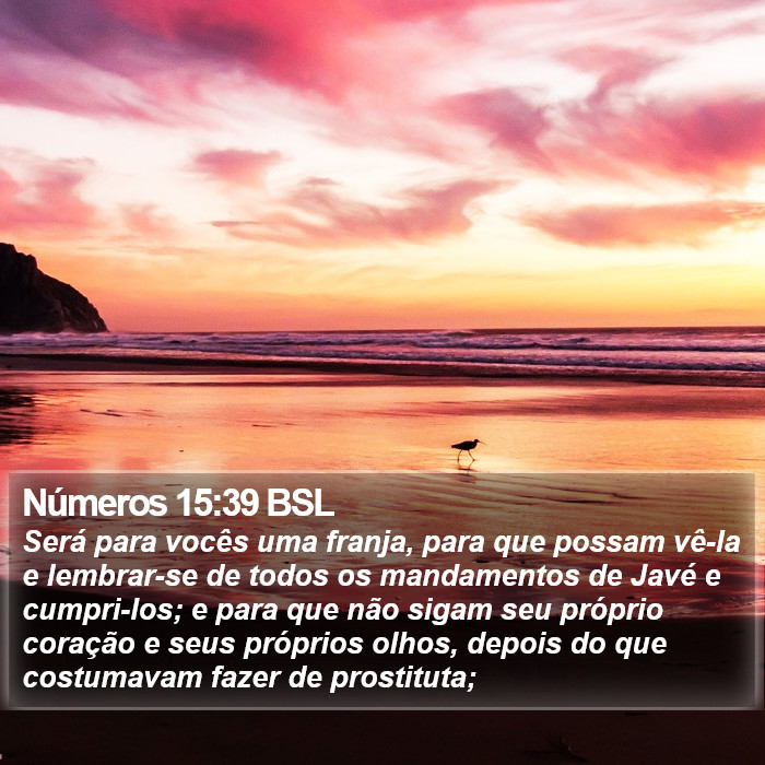 Números 15:39 BSL - Será para vocês uma franja, para que possam