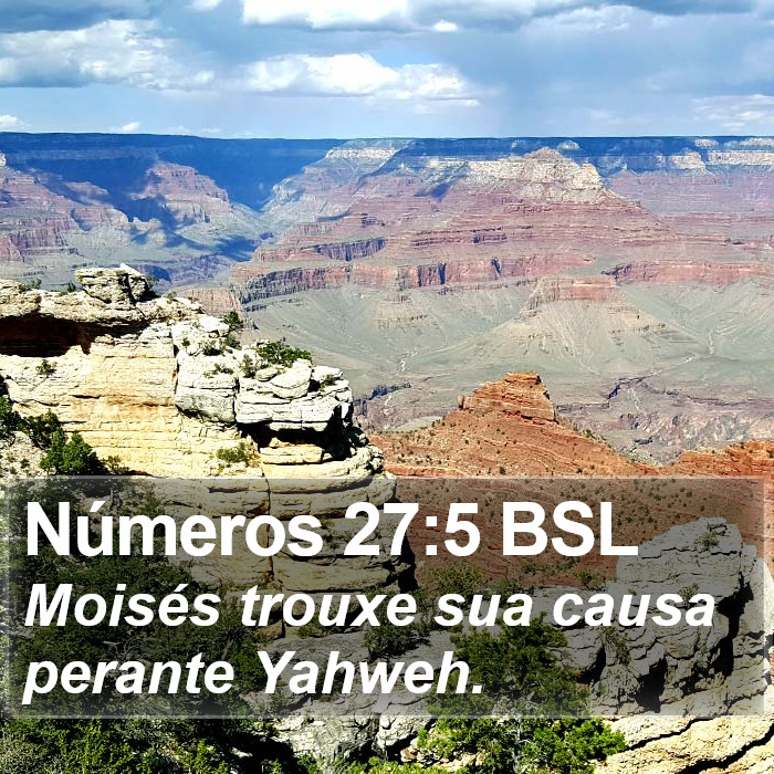 Números 27:5 BSL - Moisés trouxe sua causa perante