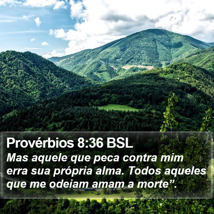 Provérbios 8 Bible Images - Provérbios Chapter 8 BSL Bible Verse Pictures