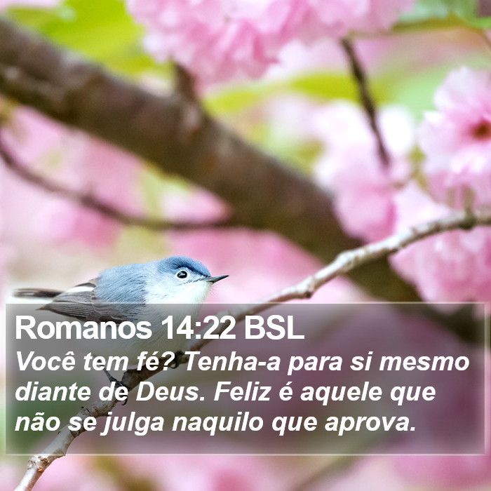 Romanos 14:22 BSL - Você tem fé? Tenha-a para si mesmo diante de